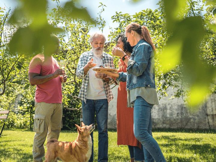 Here’s our rulebook for renting with pets - PropertyMe Tenant