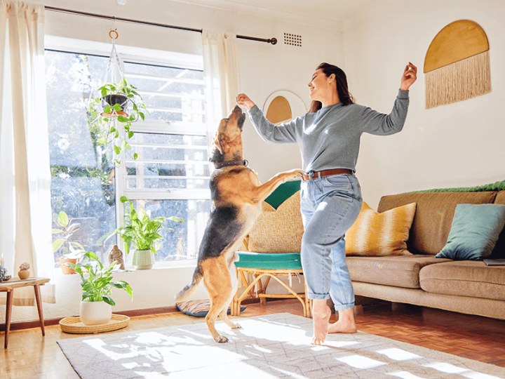 Here’s our rulebook for renting with pets - PropertyMe Tenant